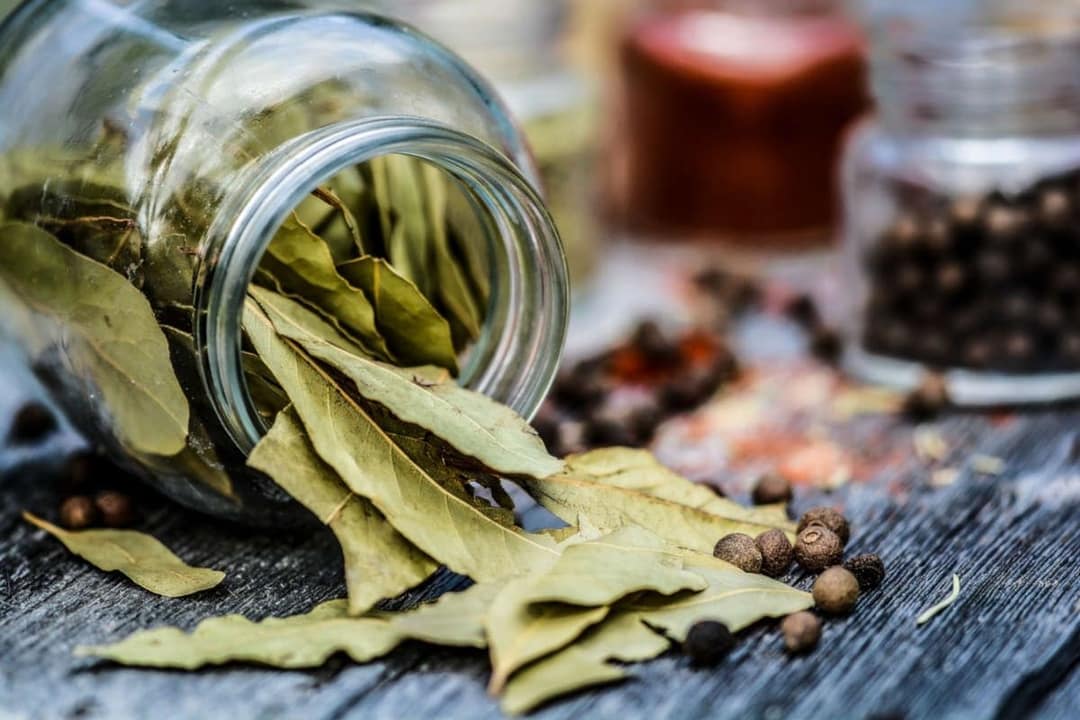 Los beneficios de la infusión de laurel | Infusionismo